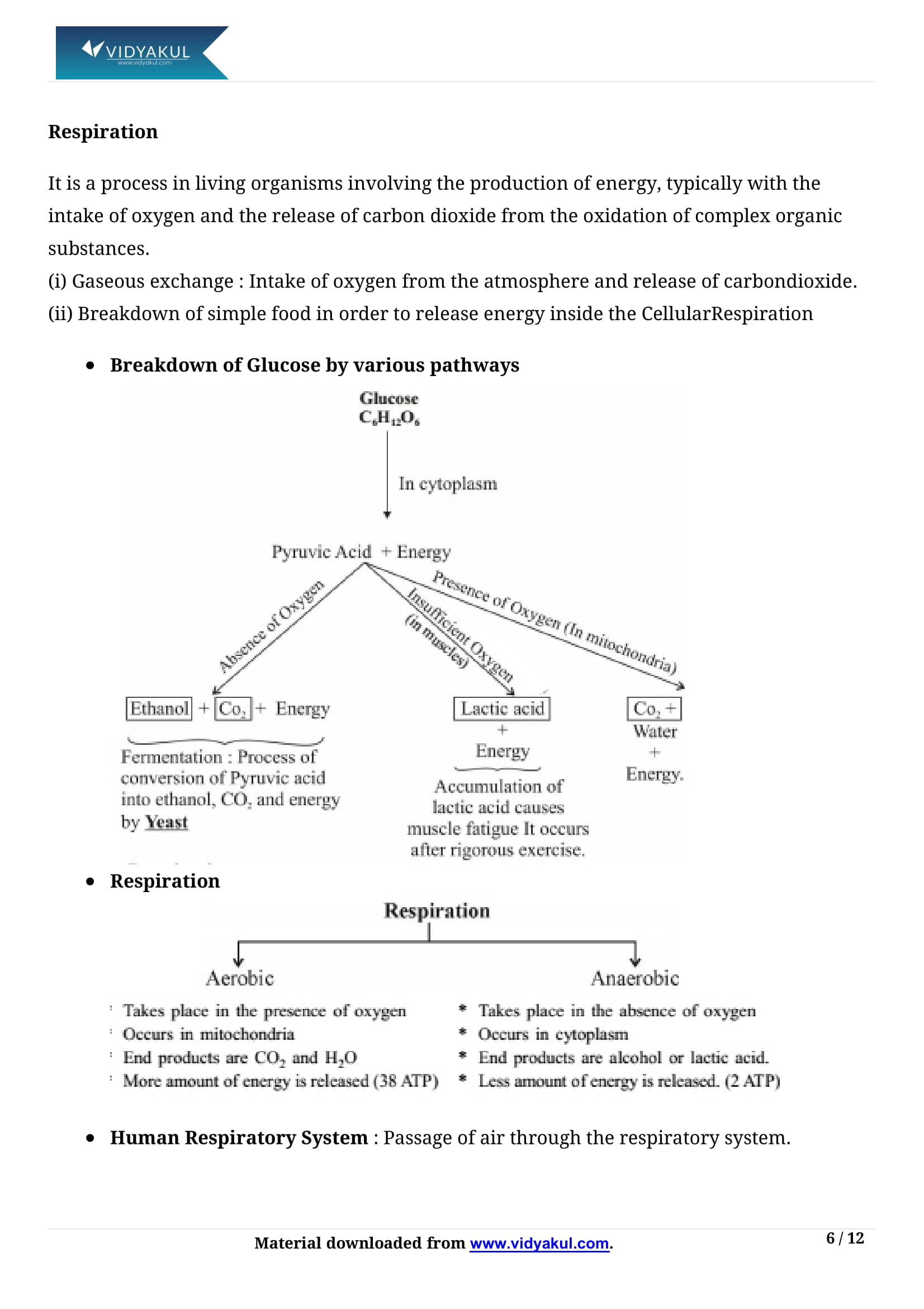 Class 10th Science Life Processes NCERT Notes CBSE 2023