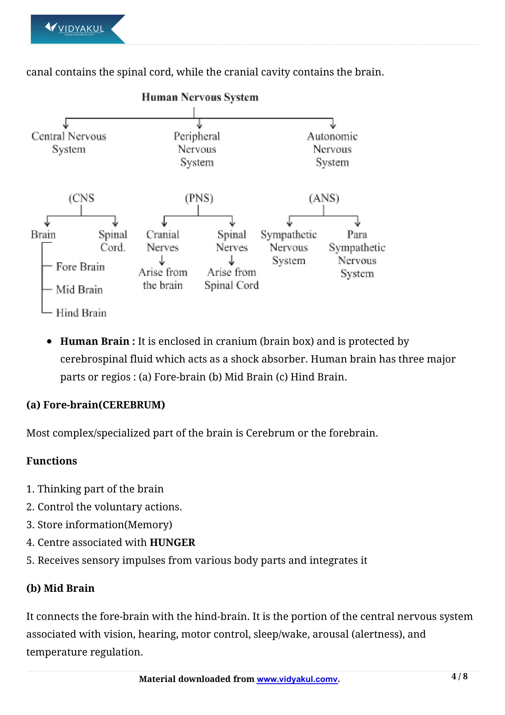 Class 10th Science Control and Coordination NCERT Notes CBSE 2023 Class 10th Science Control and Coordination NCERT Notes CBSE 2023