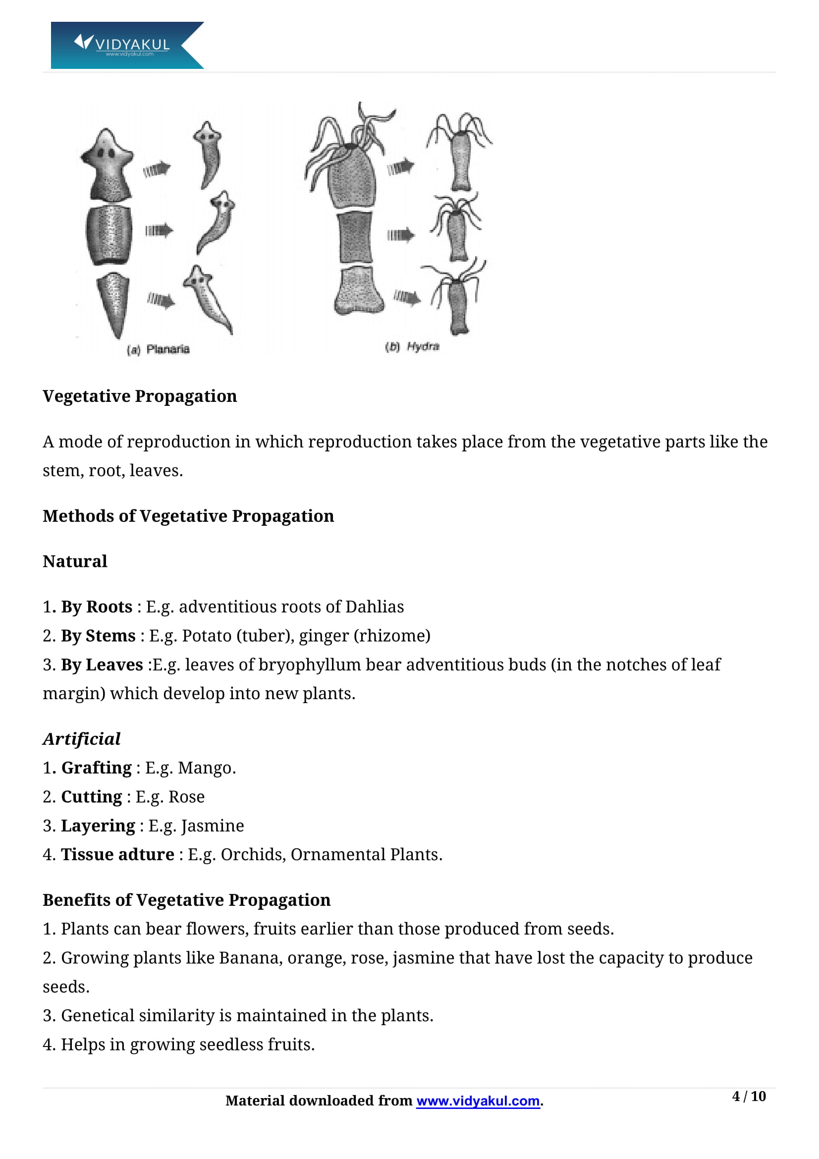 Class 10th Science How Do Organisms Reproduce NCERT Notes CBSE 2023 Class 10th Science How Do Organisms Reproduce NCERT Notes CBSE 2023