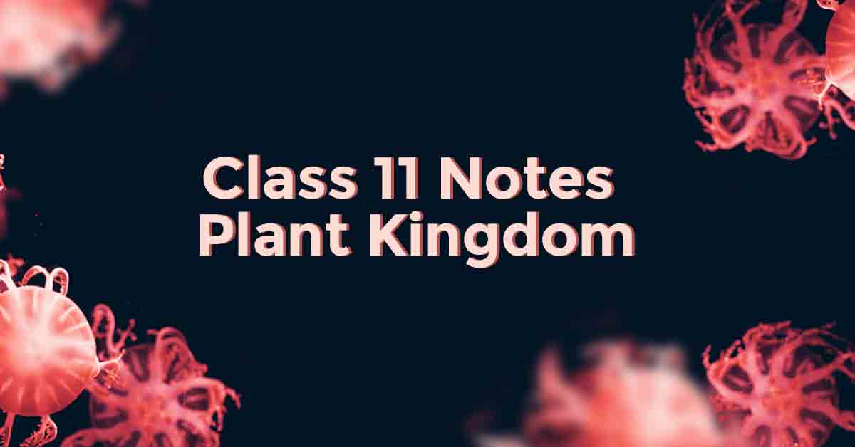 CBSE Class 11 Biology Notes Chapter 3 Plant Kingdom CBSE Class 11 Biology Notes Chapter 3 Plant Kingdom