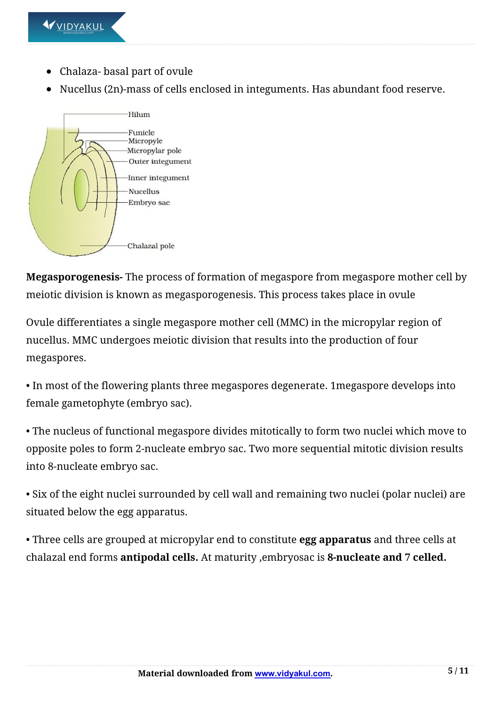 Sexual Reproduction in Flowering Plants Class 12 Notes | Vidyakul